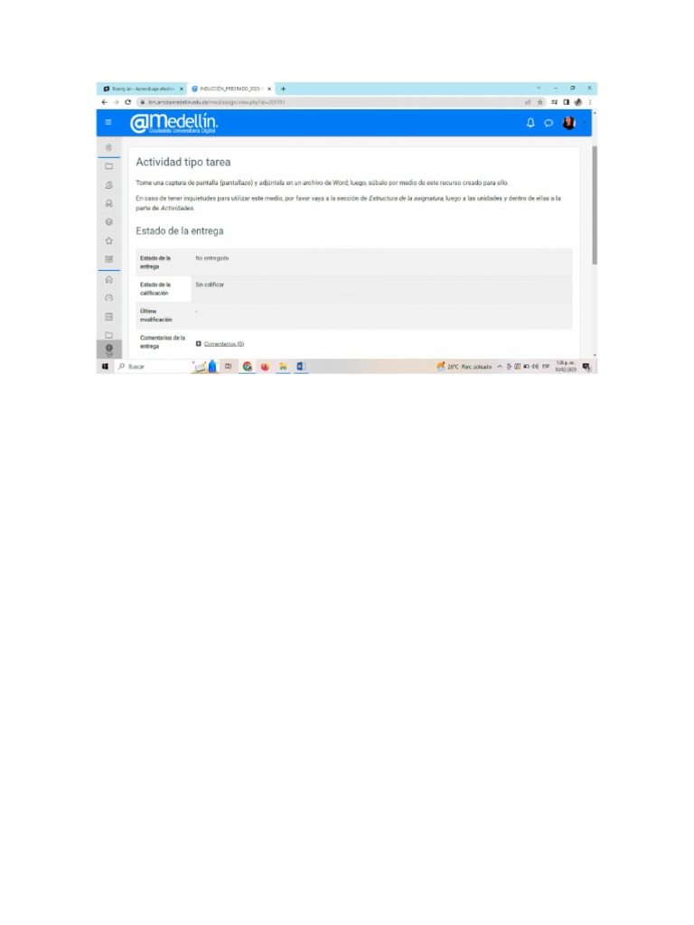 Simulación de Pantallazo | PDF