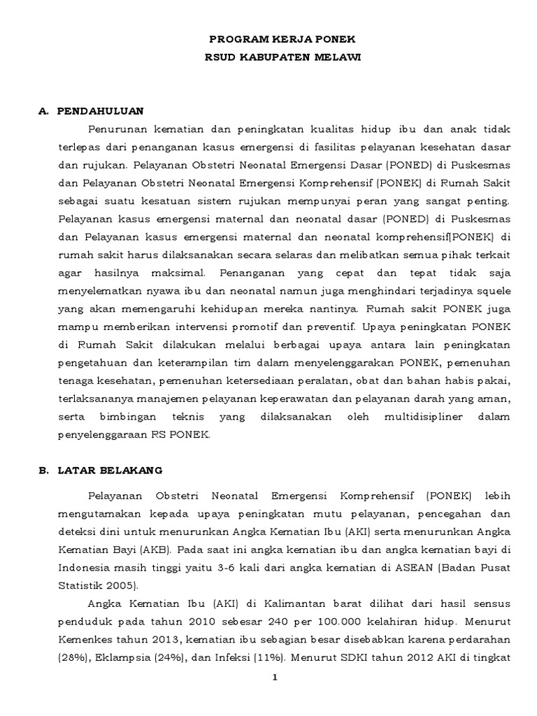 Program Kerja Ponek | PDF
