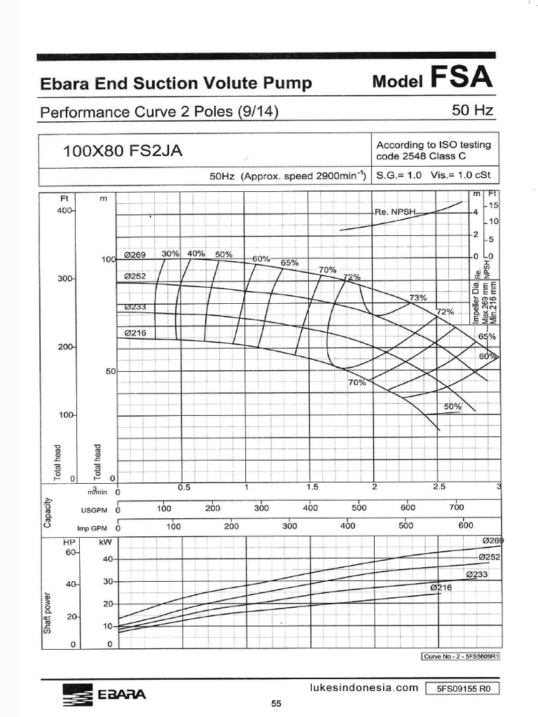 36 - Kurva Ebara - 100 X 80 FS2JA | PDF