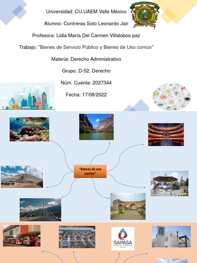 Bienes de uso comun y de servicio publico_D-52 | PDF