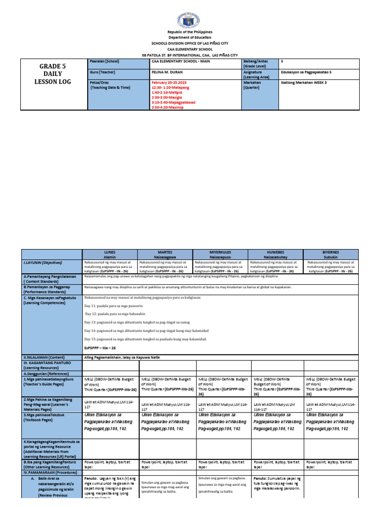 DLL Esp5 Quarter 3 Week 3 | PDF