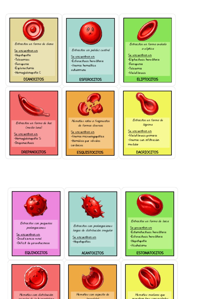 ANORMALIDADES ERITROCITARIAS | PDF | Glóbulo rojo | Medicina CLINICA