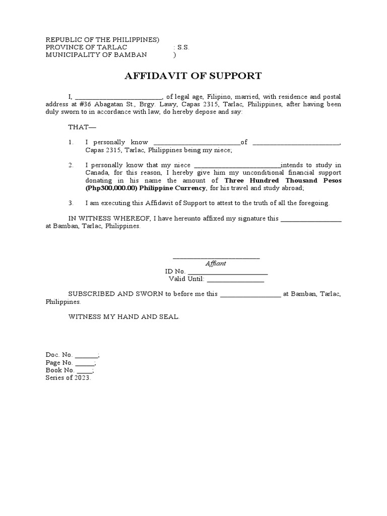 Affidavit of Support | PDF