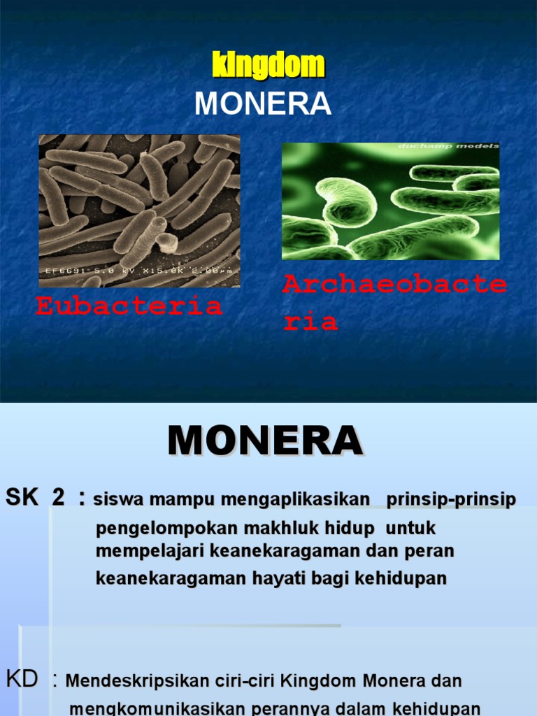 Karakteristik dan Peran Makhluk Hidup Kingdom Monera | PDF