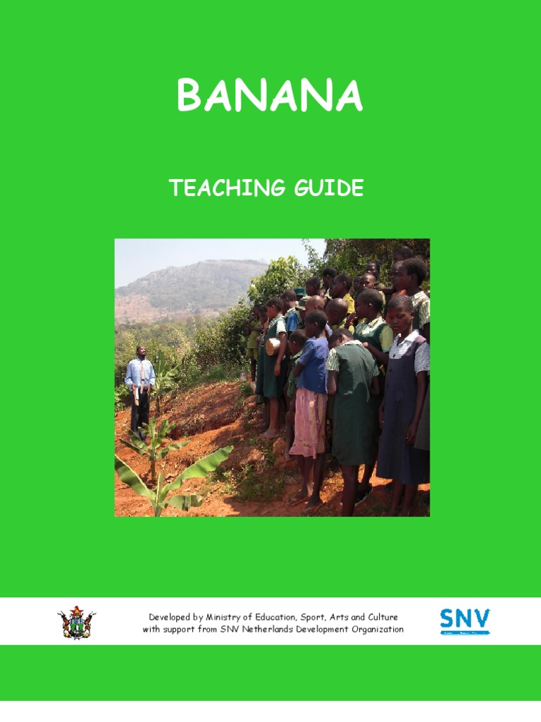 Banana Teaching Guide For Primary Schools | PDF | Banana | Soil
