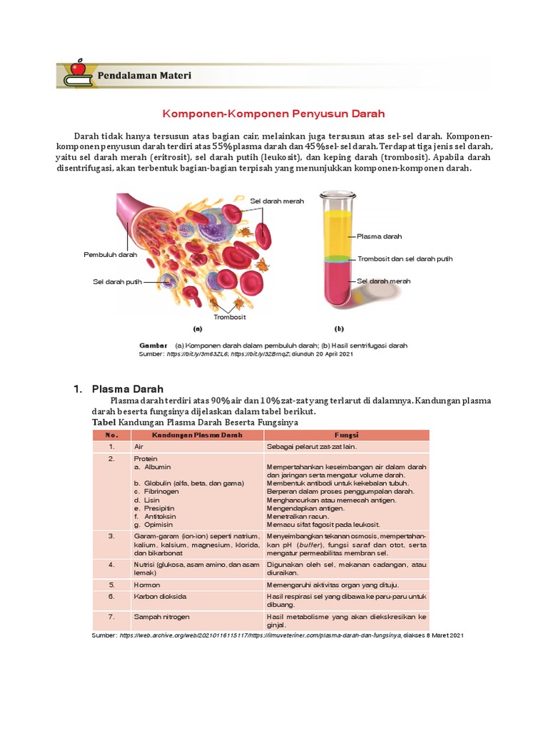 Komponen-Komponen Penyusun Darah | PDF