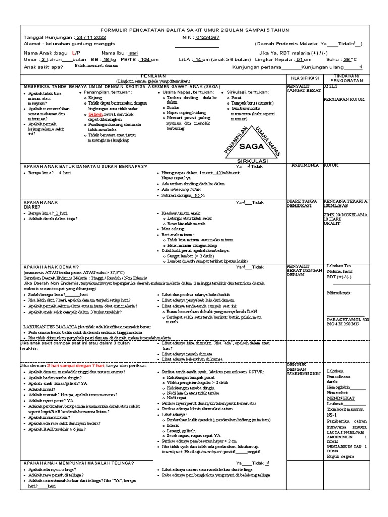 FORMULIR PENCATATAN BALITA SAKIT 2 BLN SAMPAI 5 TAHUN | PDF