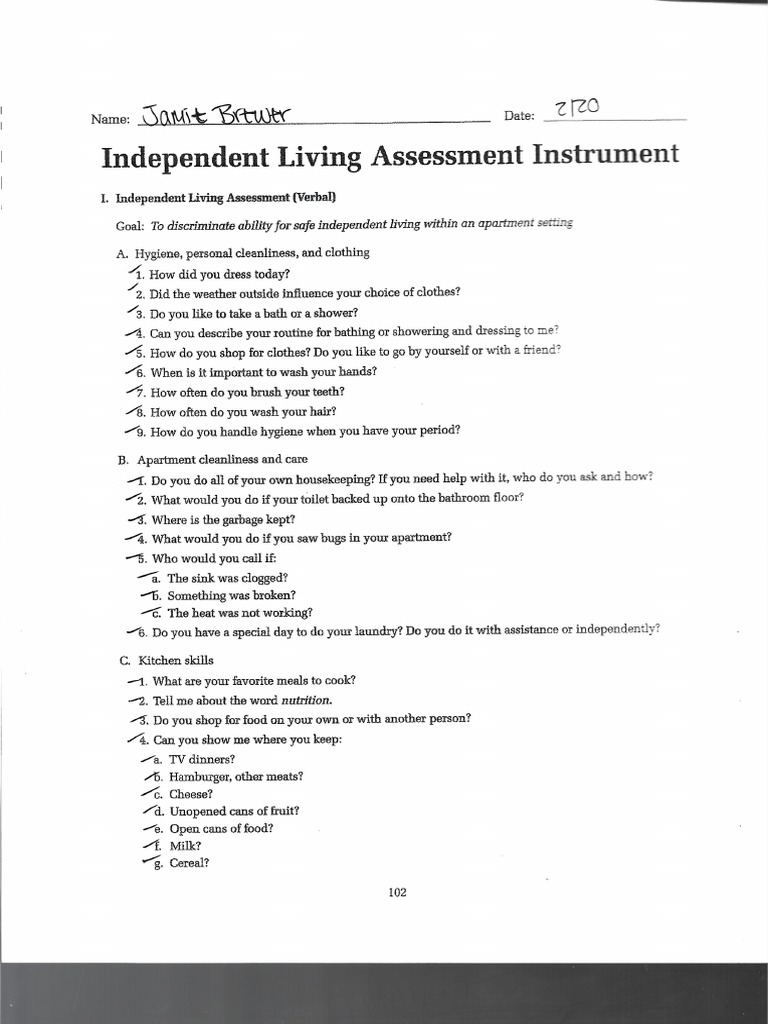 Independent Living Assessment | PDF