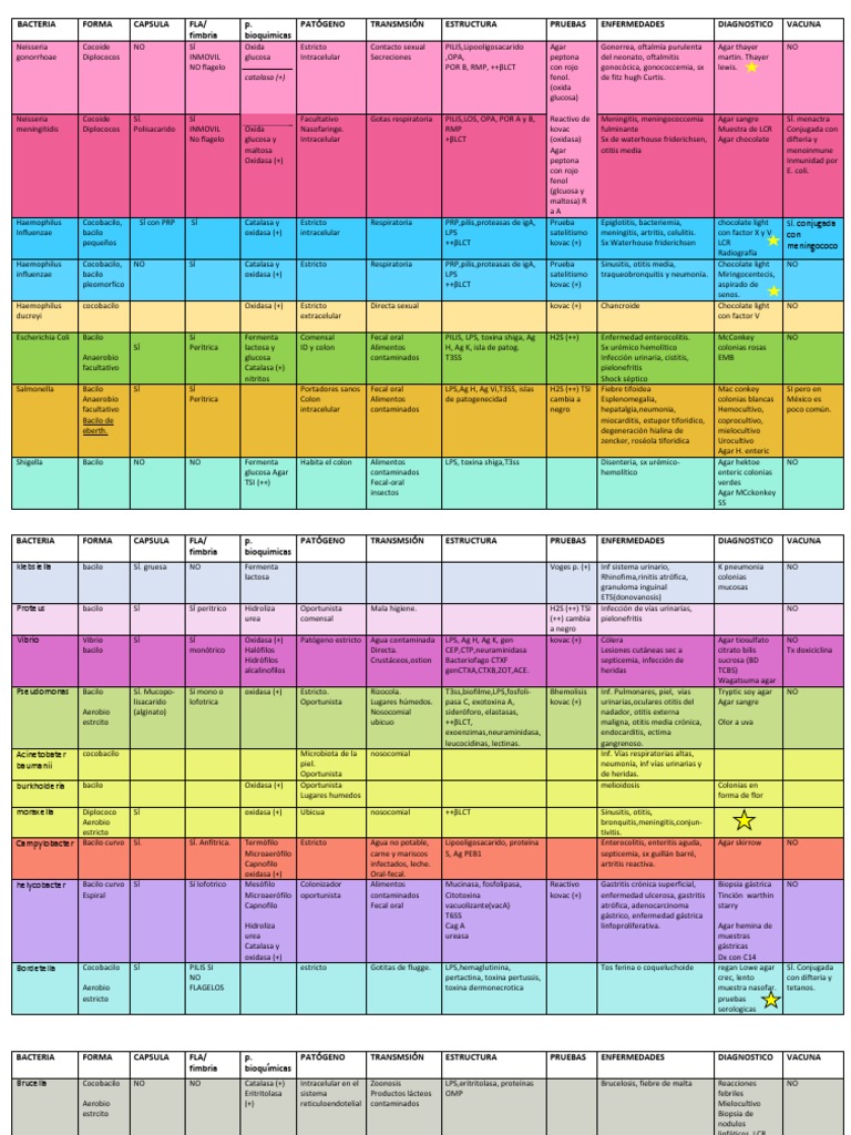Tabla de Bacterias Gram | PDF | Enfermedades y trastornos | Las bacterias