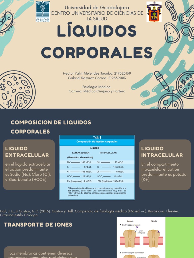 Composición y transporte de líquidos corporales | PDF | Química ...