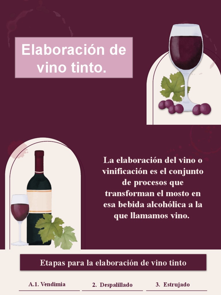 Elaboración de Vino Tinto | PDF | Uva | Vino