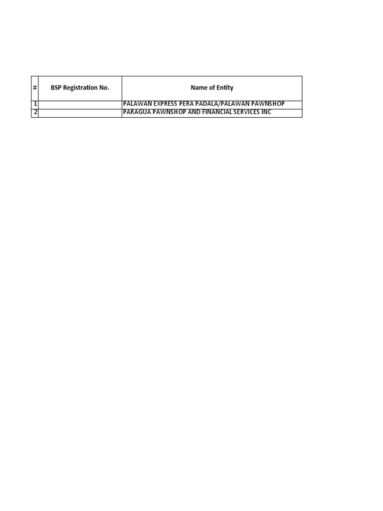 BSP Lgu Report | PDF