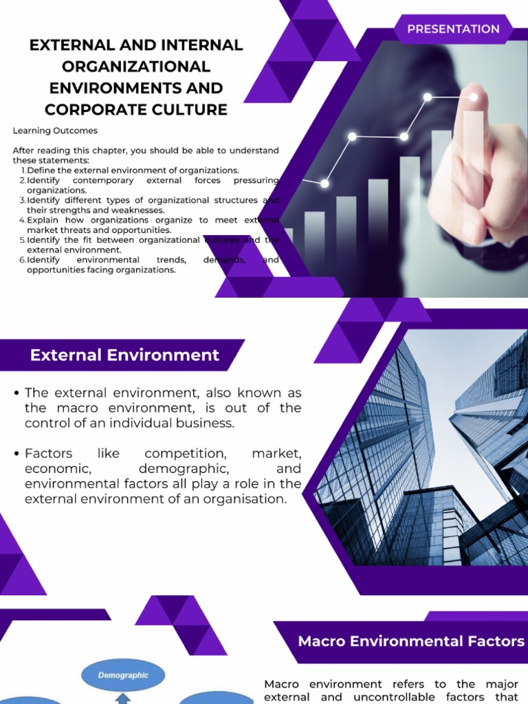 Chapter 3 External and Internal Organizatiol Environments and Culture | PDF