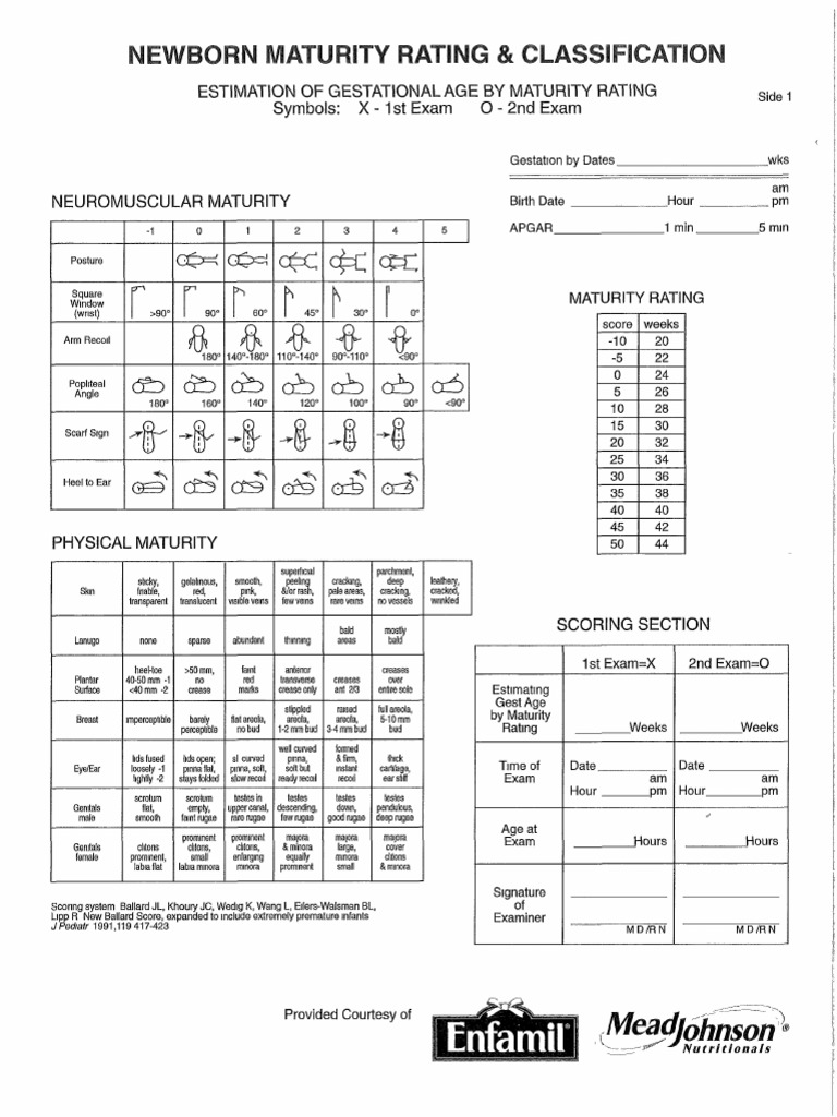 Ponderal Index and Maturity Rating | PDF