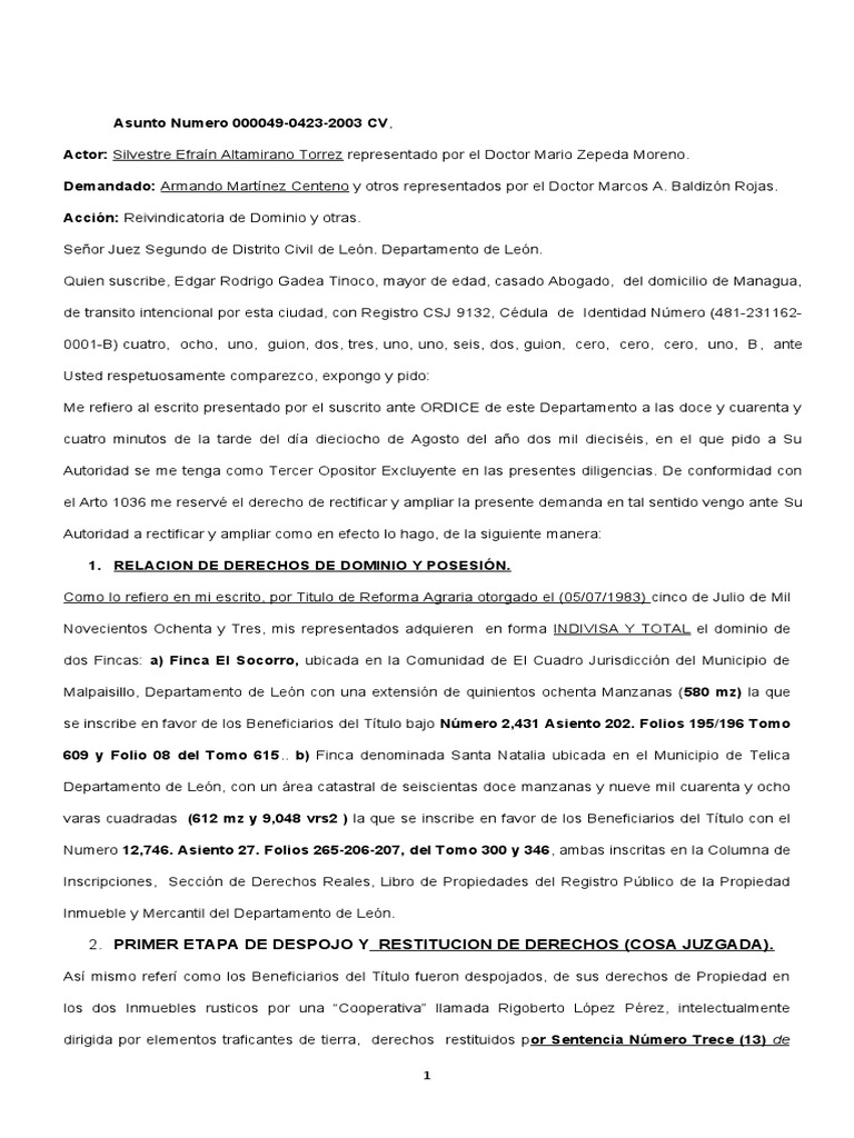 Rectificación y Ampliación 3er Opositor | PDF | Mala fe | Propiedad