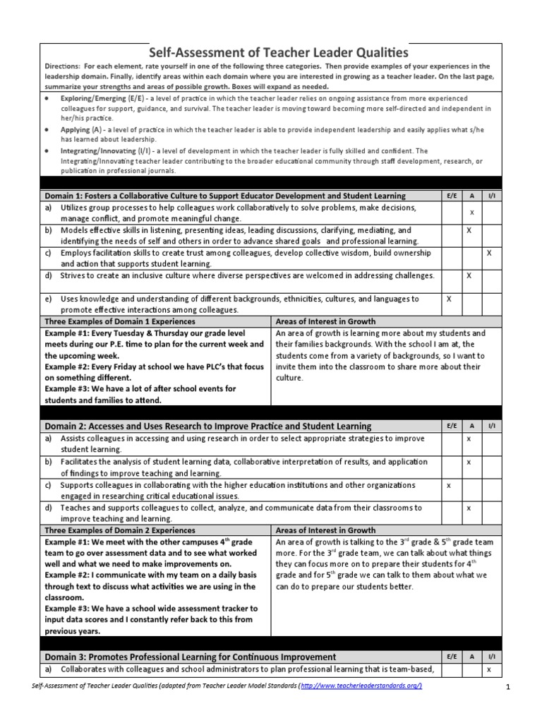 Teacher Leader Self Assessment | PDF | Leadership | Learning
