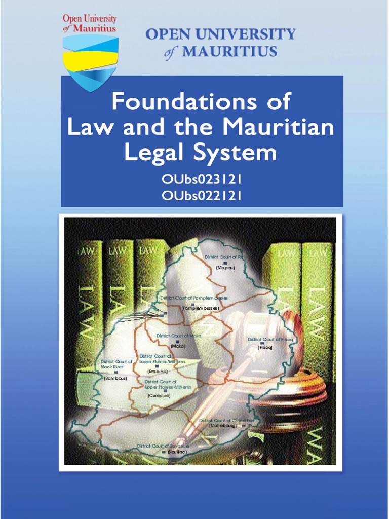 BOOK Foundations of Law and The Mauritian Legal System Seenundun PDF | PDF | Sources Of Law ...
