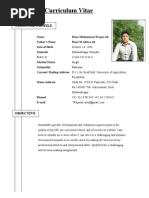 Sunil Resume 1 | PDF | Career & Growth