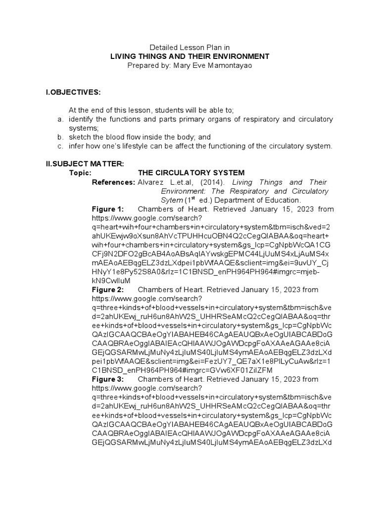 Detailed Lesson Plan Real | PDF | Blood Vessel | Atrium (Heart)