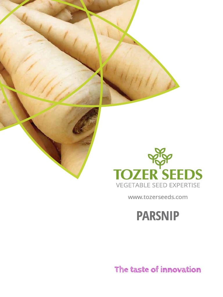 Parsnips Brochure | PDF | Plant Breeding | Seed