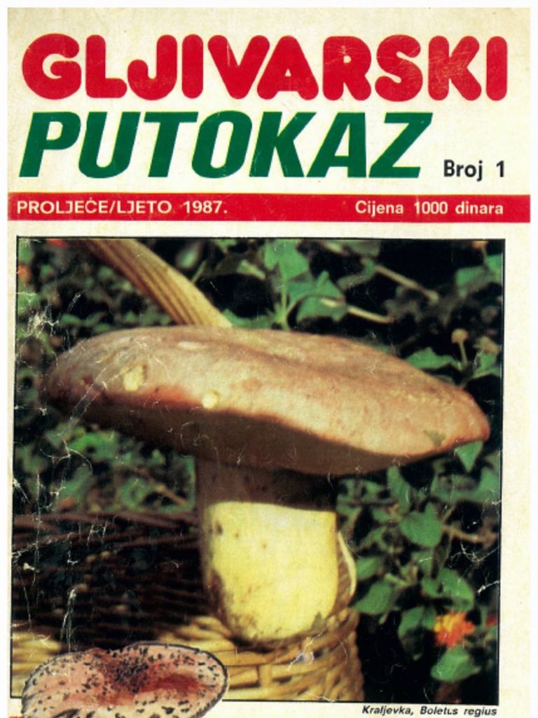 DR Focht Gljivarski Putokaz 01 | PDF