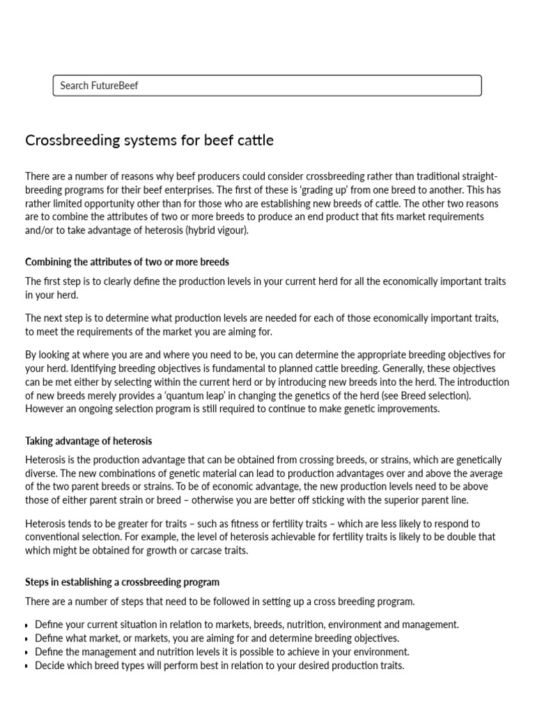 Cross Breeding Systems For Beef Cattle | PDF | Plant Breeding | Cattle
