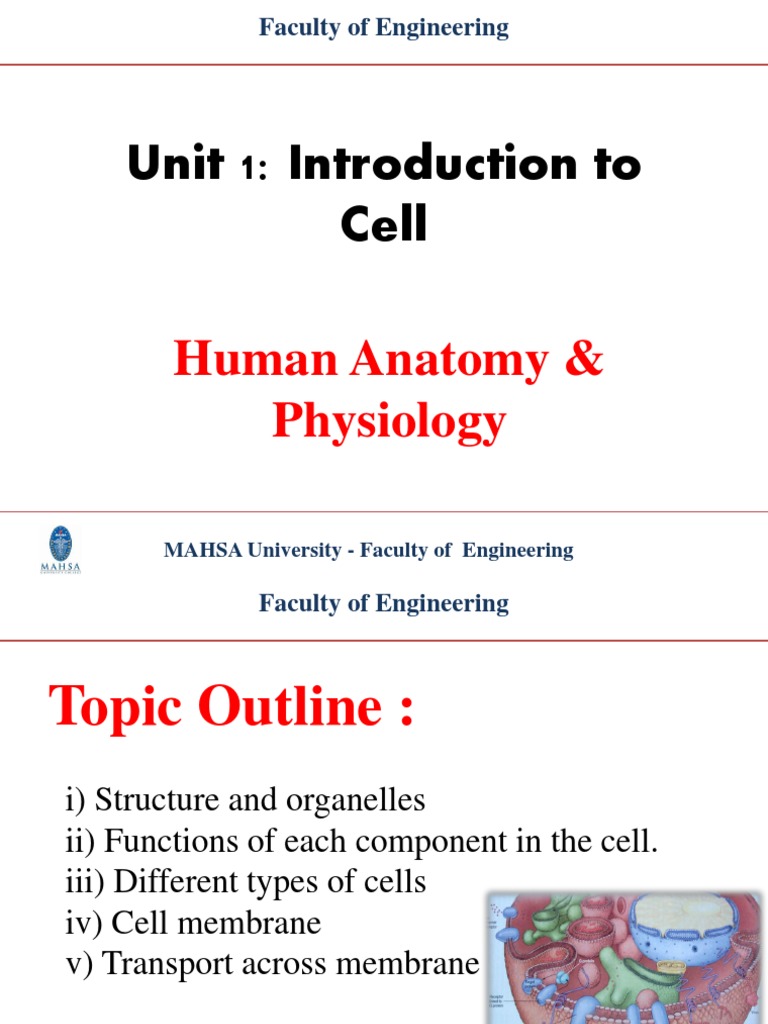 Unit 1 - Introduction To Cell | PDF | Cell Membrane | Osmosis