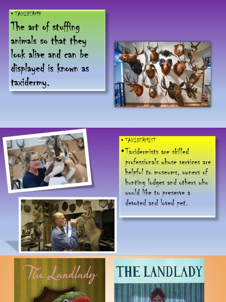 The Land Lady - PPT11637750097 | PDF