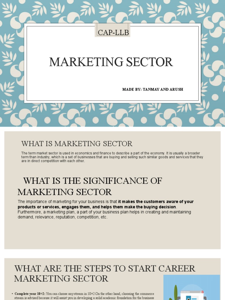 Marketing Sector PPT of 9C by Tanmay and Arush | PDF | Marketing ...