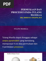Anatomi dan Fungsi Maksila | PDF
