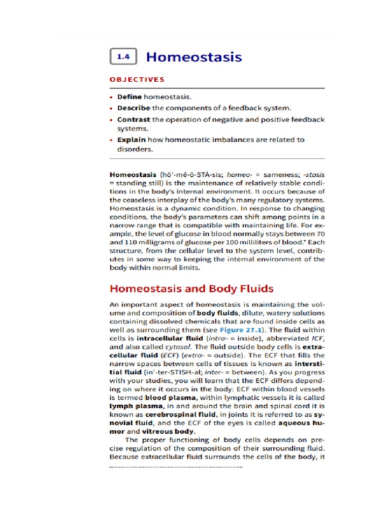 Homeostasis | PDF