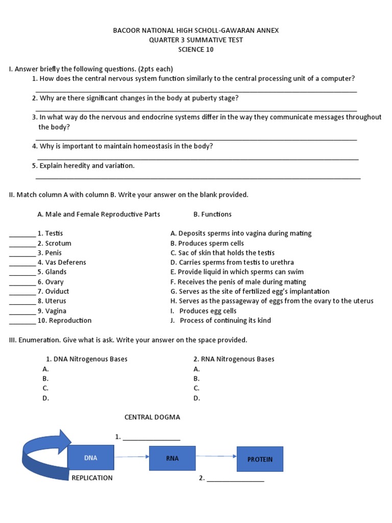 Quarter 3 Summative Test 2022 | PDF | Human Body | Biological Processes