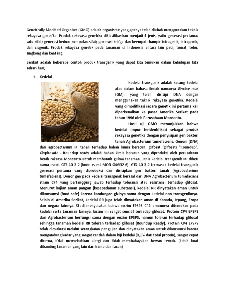 Produk GMO dan Manfaatnya | PDF | Sains & Matematika
