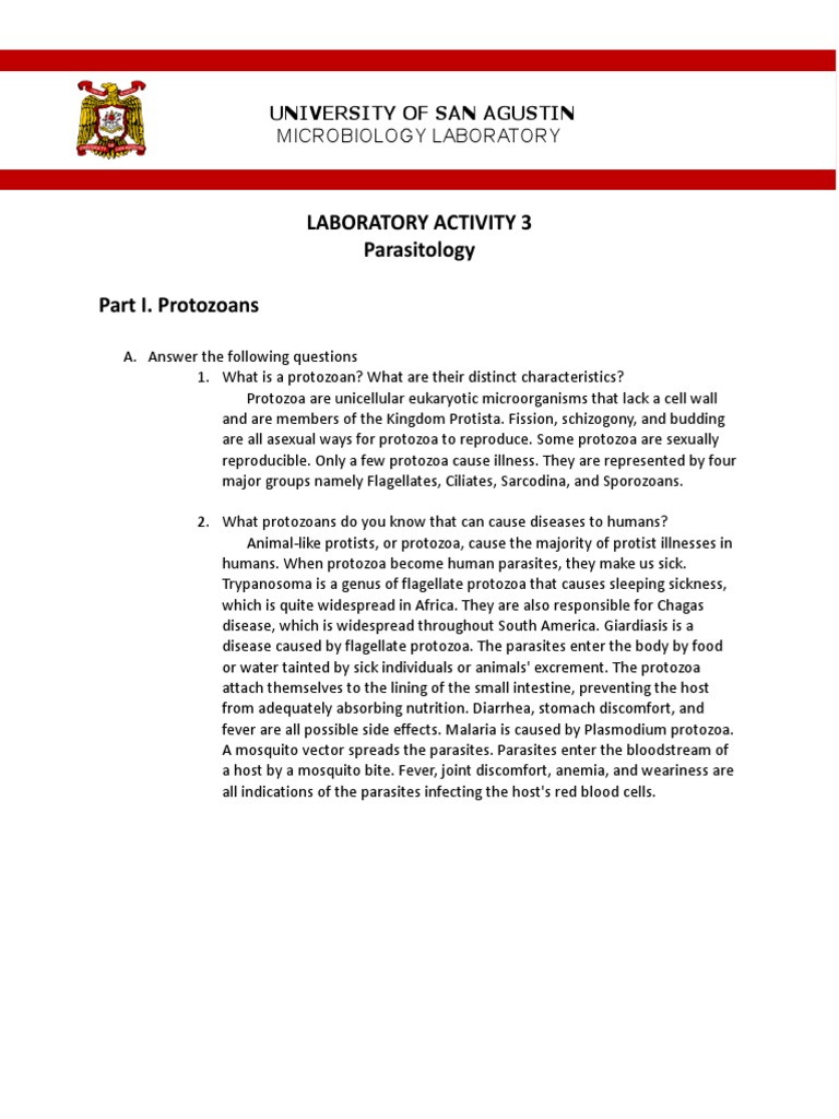 Parasitology - Laboratory Activity 3 | PDF | Protozoa | Medical Specialties