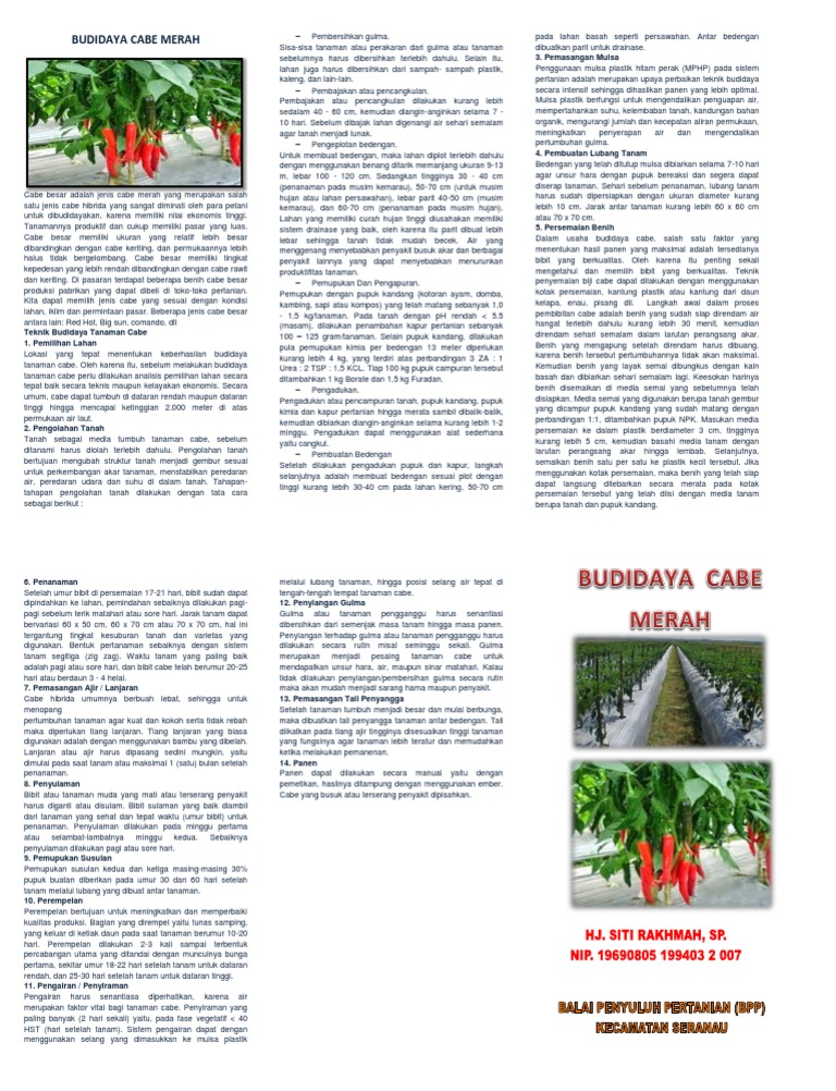 Cabe Merah | PDF