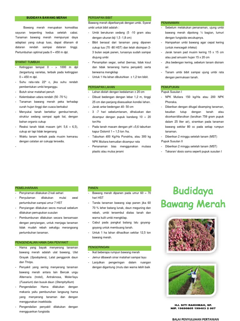 Leaflet Bawang Merah Rahma | PDF