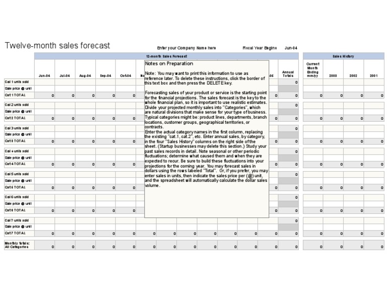 12 Month Sales Forecast | PDF | Private Sector | Financial Economics