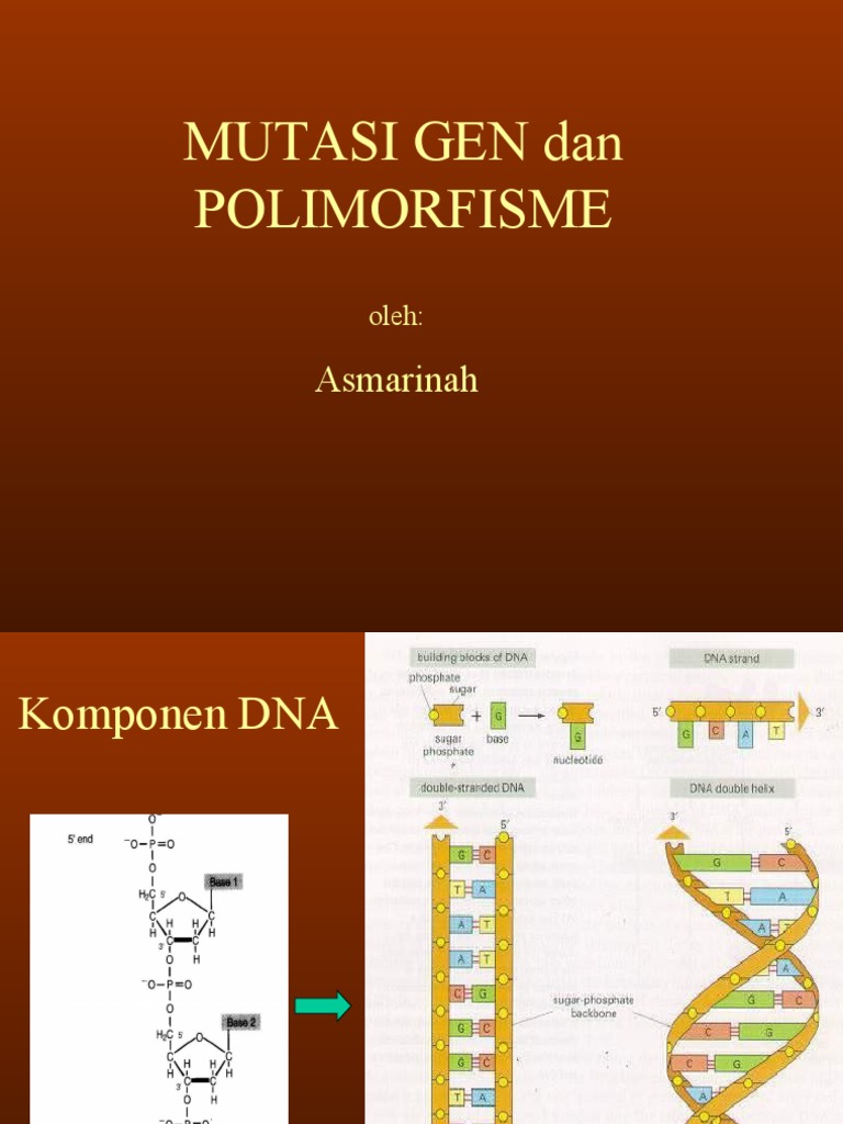 kuliahmutasigendanpolimorfisme | PDF