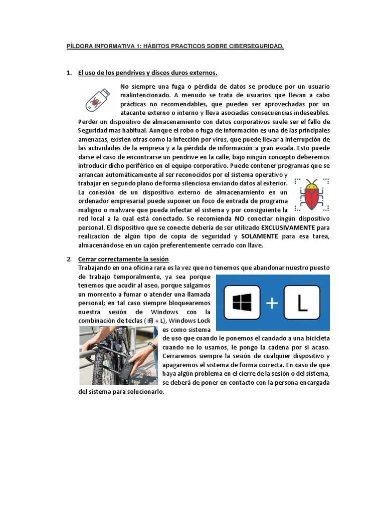 Pildora Informativa 1 | PDF | Contraseña | Memoria USB
