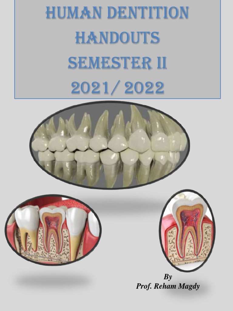 Human Dentition Handouts Semester II 2021/2022 | PDF | Dental Anatomy | Tooth