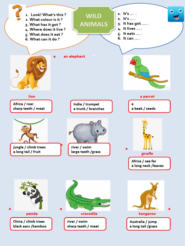 Wild Animals Activity for Kids | PDF