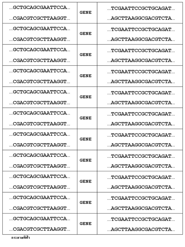 15sheet Plasmid Blue Paper NEW | PDF
