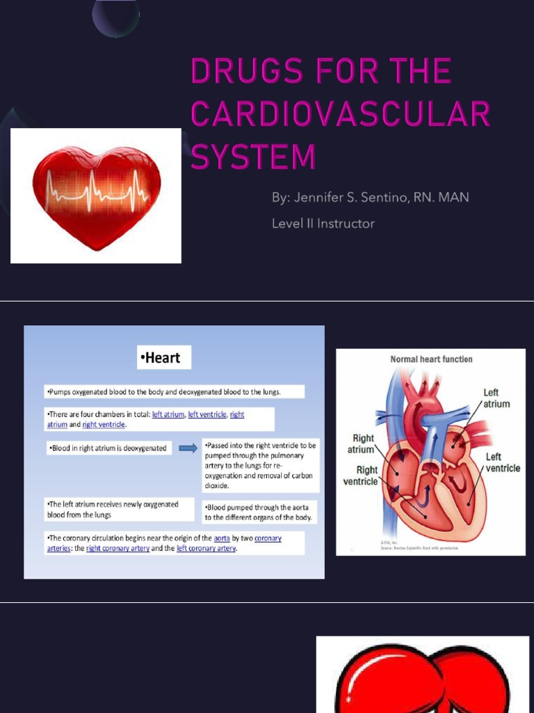 Drugs For The Cardiovascular System | PDF | Medicine | Cardiovascular ...