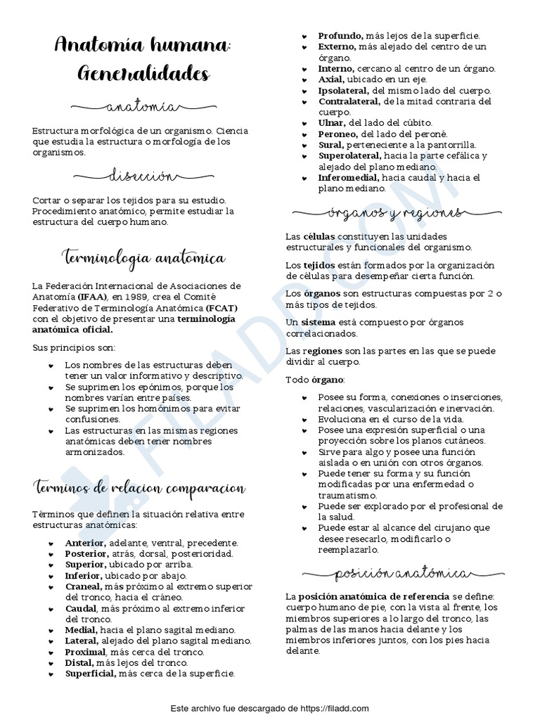Anatomia Latarjet | PDF | Articulación | Hueso