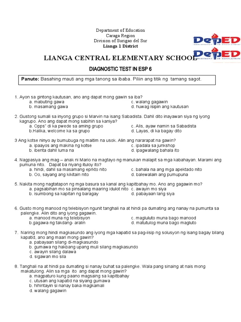 Diagnostic ESP 6 IDD | PDF