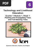 Tle Agri Grade 6 Module 1 | PDF | Trees | Wood