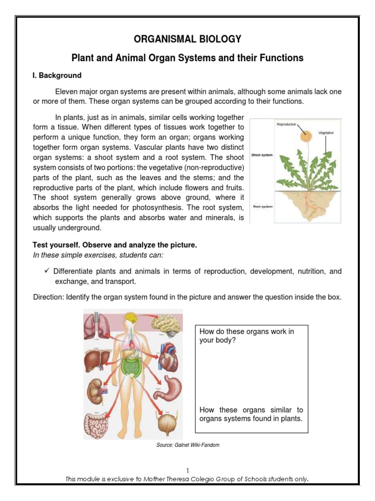 General Biology 2 | PDF | Dominance (Genetics) | Reproduction