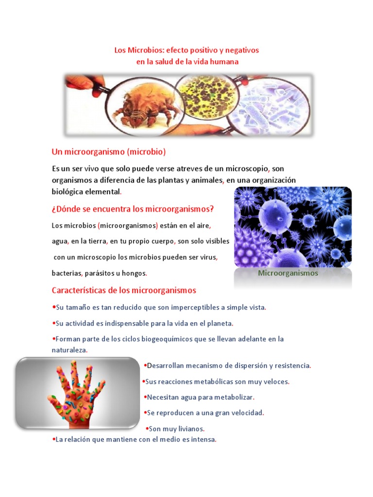 Microbios: Beneficios y Riesgos para la Salud | PDF | Microorganismo ...