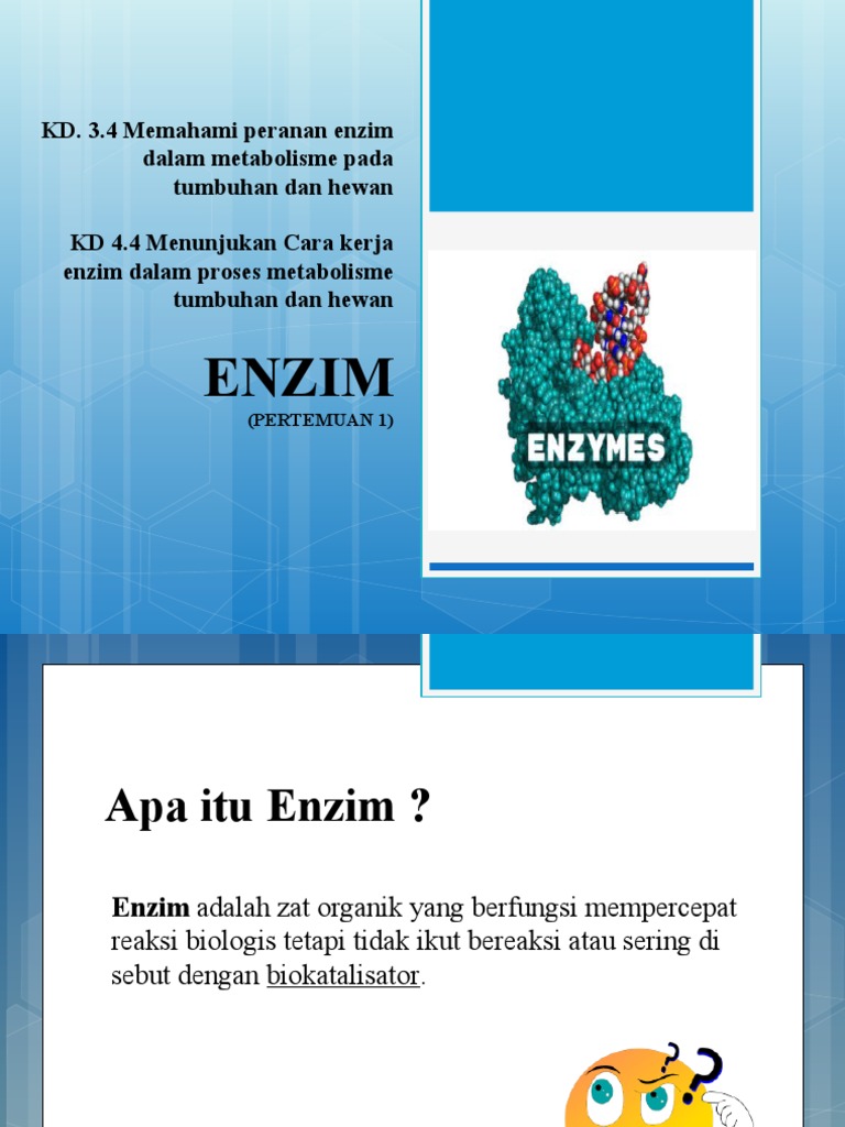 Enzim | PDF