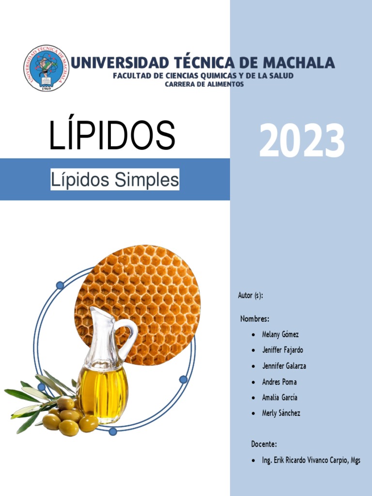 Grupo 1- Lípidos Simples | PDF | Lípido | gordo